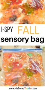 Toddler Fall Sensory Bag - My Bored Toddler