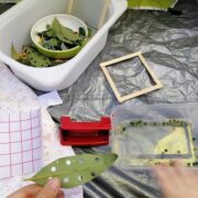 Leaf craft and activity ideas for toddlers - My Bored Toddler