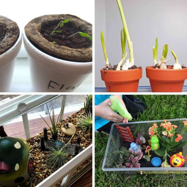 Gardening Activities for Toddlers - My Bored Toddler