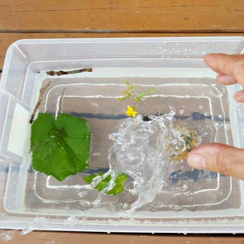 Sink and Float Water Play with Natural Materials - My Bored Toddler