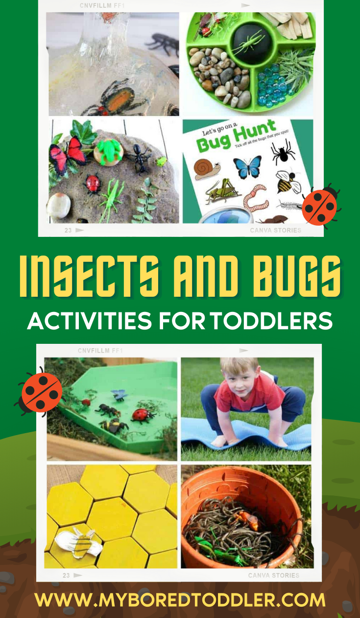 Insects and Bugs Activities for Toddlers - My Bored Toddler