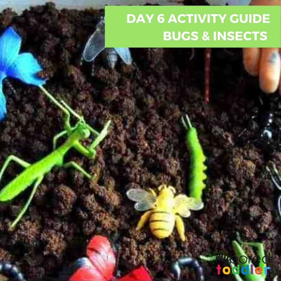 Day 6 Activity Guide Bugs & Insects - My Bored Toddler
