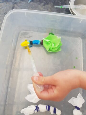 Emerging Butterfly Process Art - My Bored Toddler