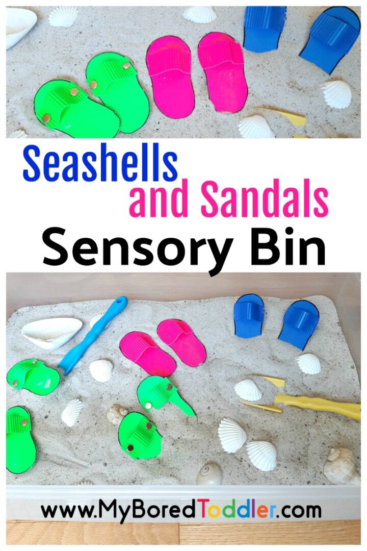 Seashells and Sandals in the Sensory Bin - My Bored Toddler