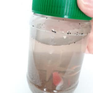 Simple Sand and Water Science Activity for Toddlers - My Bored Toddler