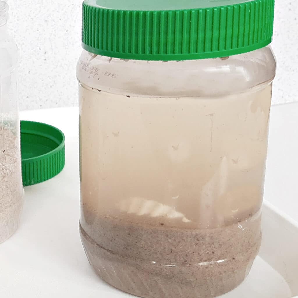 Simple Sand and Water Science Activity for Toddlers - My Bored Toddler