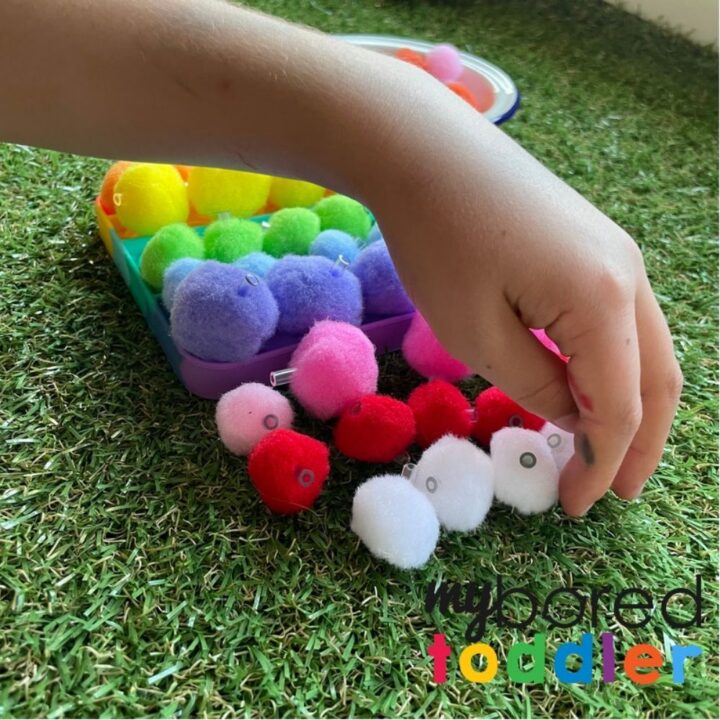 Pop It Pom Pom Sorting - My Bored Toddler Great for Fine Motor Skills!