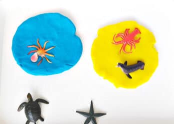 Ocean Animals Playdough Activity - My Bored Toddler
