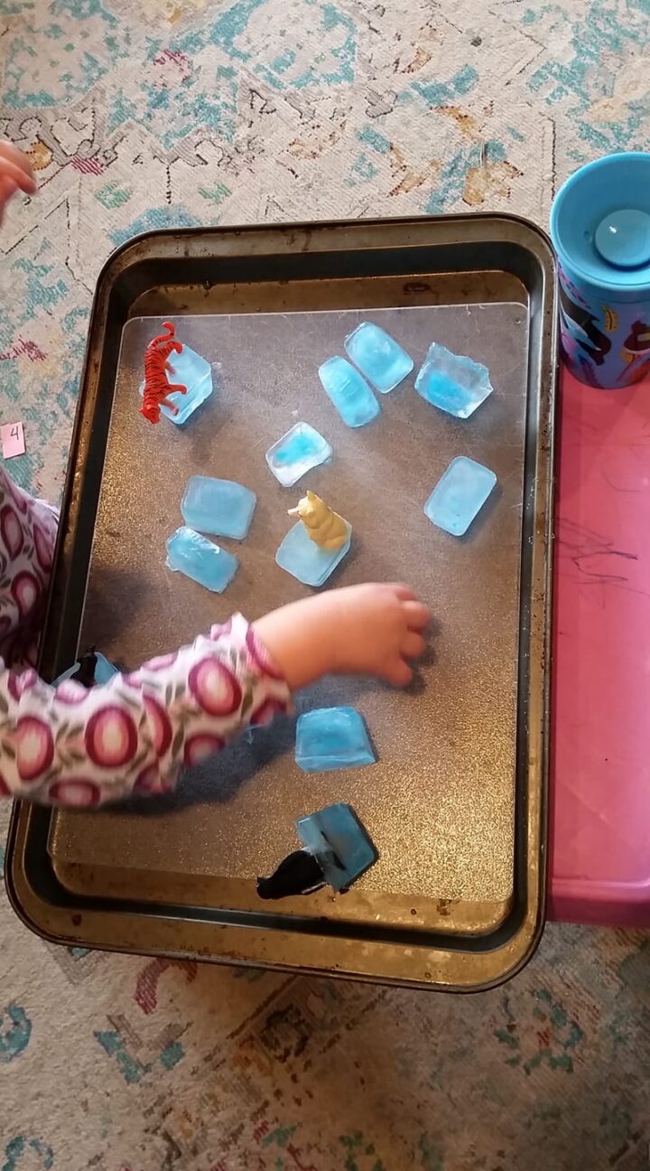 Sensory Bins for Toddlers - 60 Sensory Bin Ideas for toddlers! - My ...