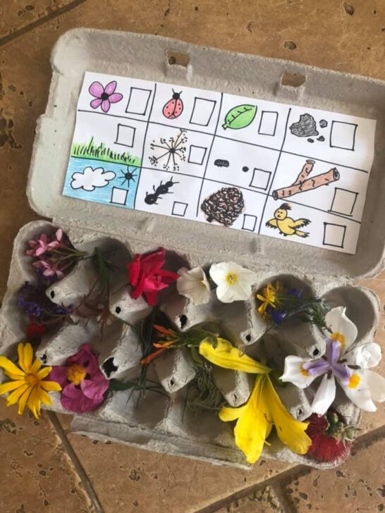 Earth Day Activity Ideas for Toddlers - My Bored Toddler