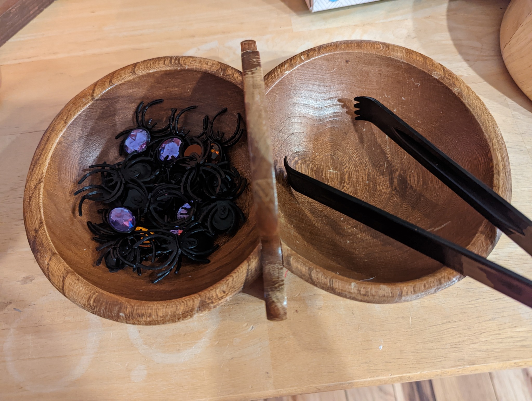 Moving the spiders from side to side using tongs - shared by Erin - My ...