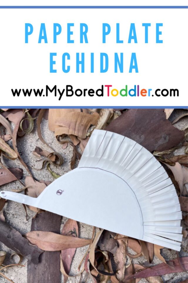 Paper Plate Echidna - My Bored Toddler