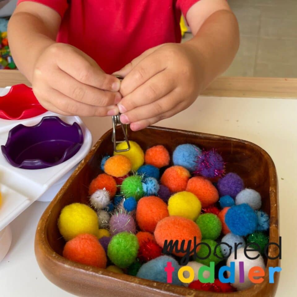 Pom Pom Colour Sorting with Pegs - My Bored Toddler