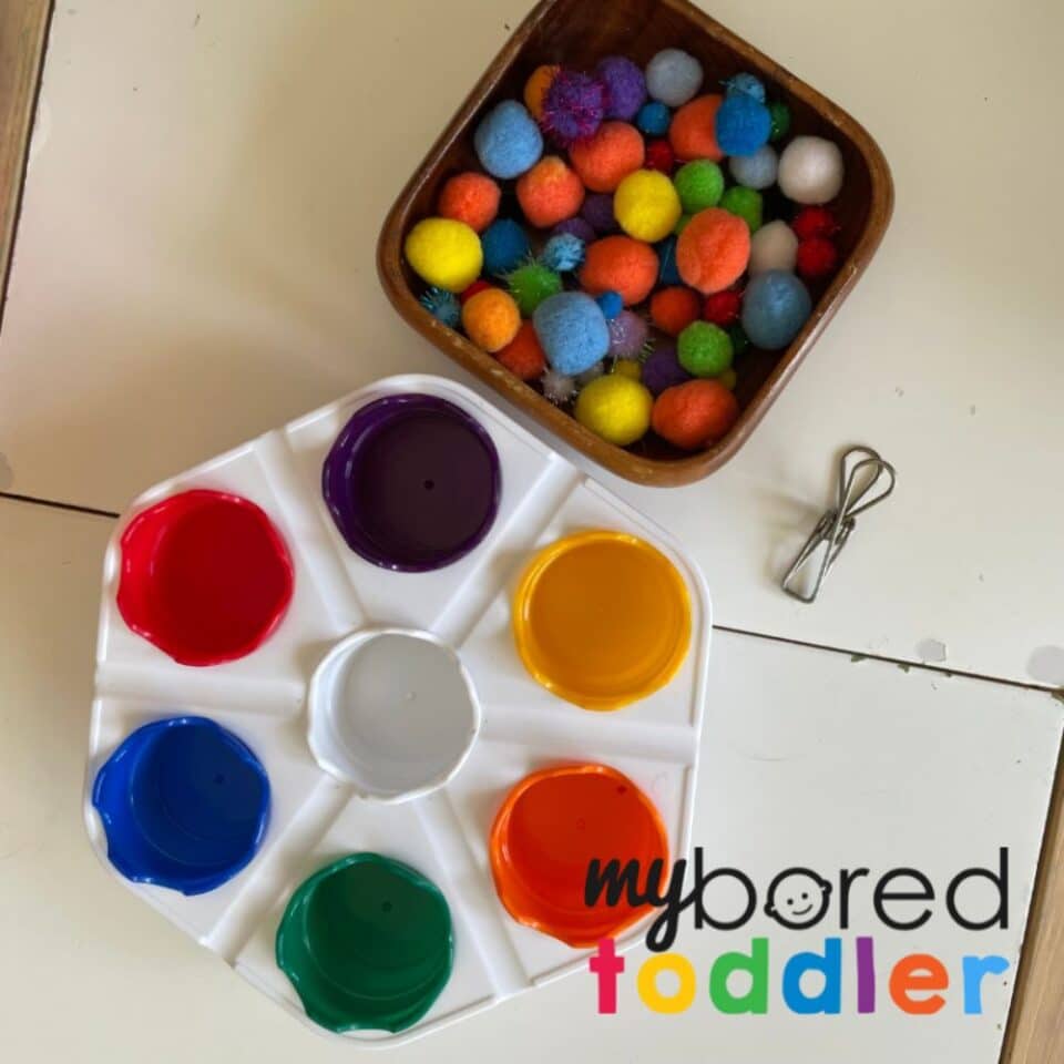 Pom Pom Colour Sorting with Pegs - My Bored Toddler