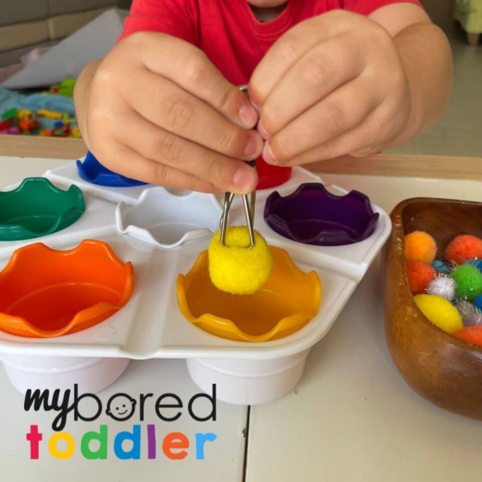 Pom Pom Colour Sorting with Pegs - My Bored Toddler