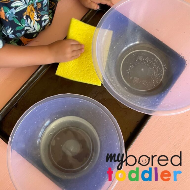 Sponge Water Transfer - My Bored Toddler