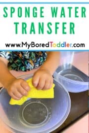 Sponge Water Transfer - My Bored Toddler