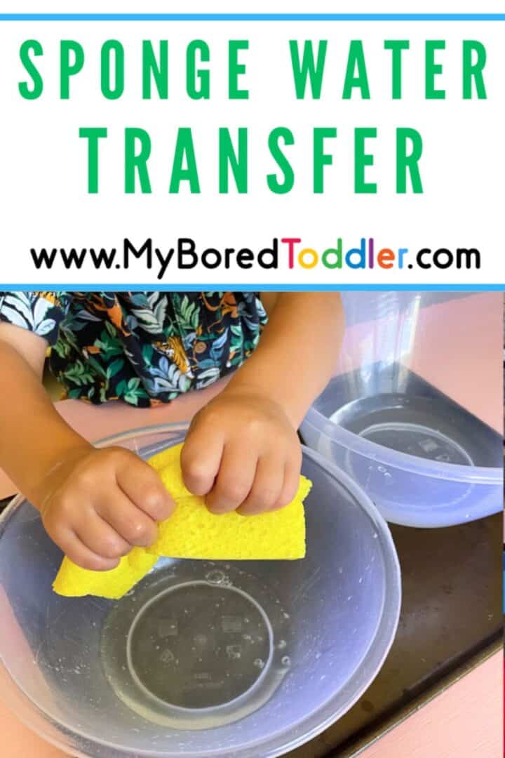 Sponge Water Transfer - My Bored Toddler Fine Motor Skills Activity!