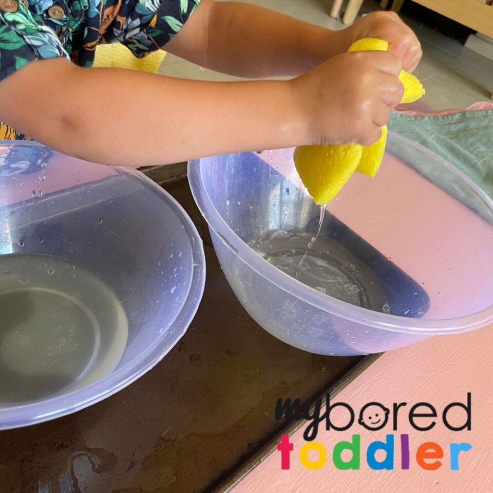Sponge Water Transfer - My Bored Toddler Fine Motor Skills Activity!