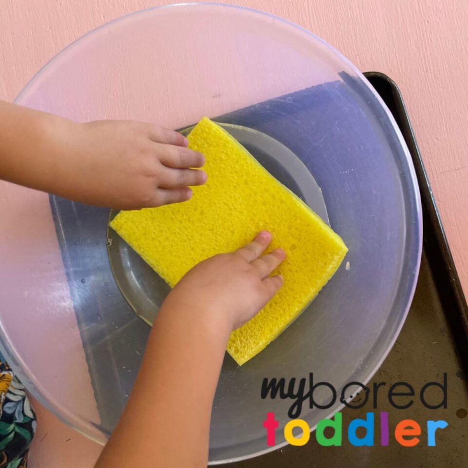 Sponge Water Transfer - My Bored Toddler Fine Motor Skills Activity!