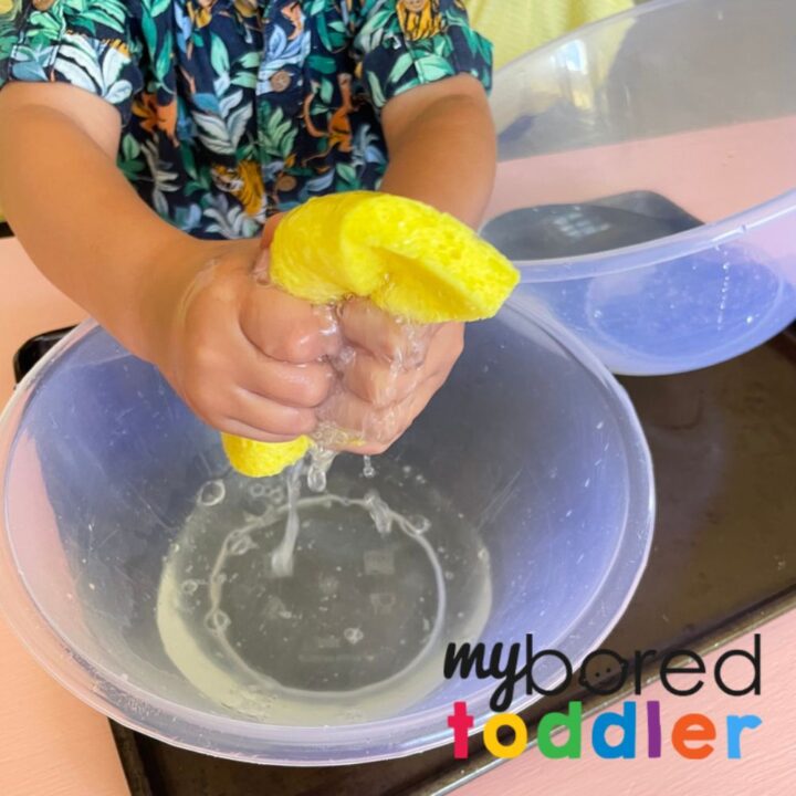 Sponge Water Transfer - My Bored Toddler
