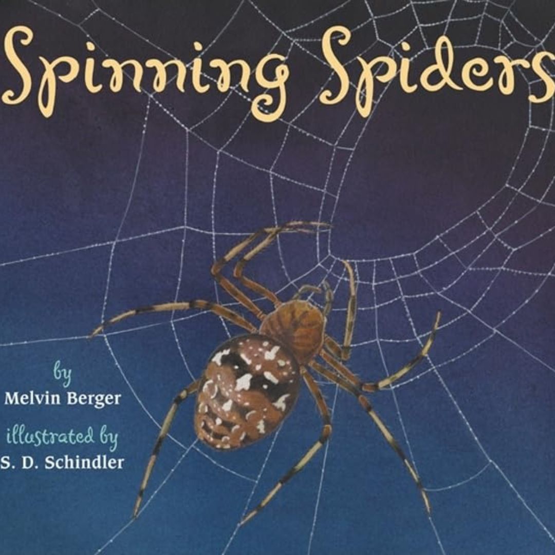 Spinning Spiders 20 Toddler Books About Spiders - My Bored Toddler