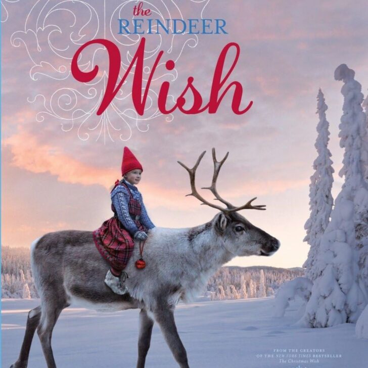 20 Toddler Books about Reindeers and Rudolph - My Bored Toddler