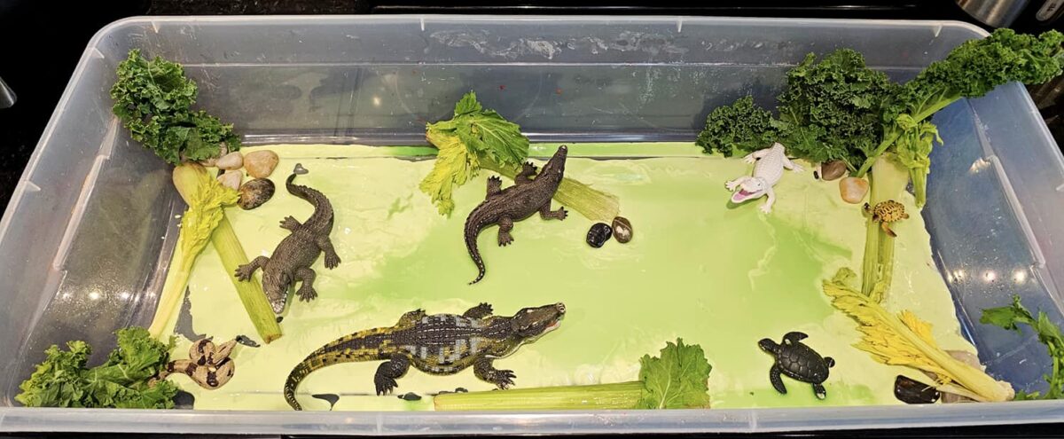 AT THE ZOO | Toddler Weekly Activity Guide - My Bored Toddler