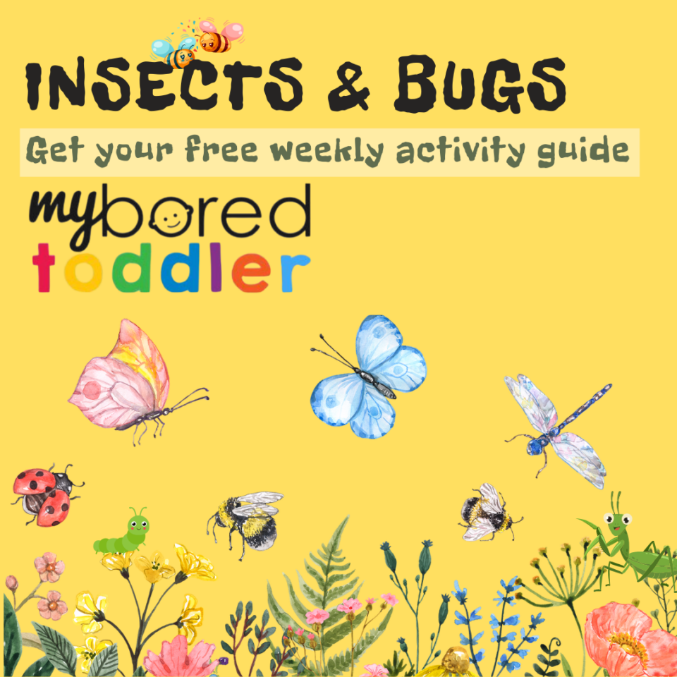 INSECTS & BUGS | Toddler Weekly Activity Plan - My Bored Toddler