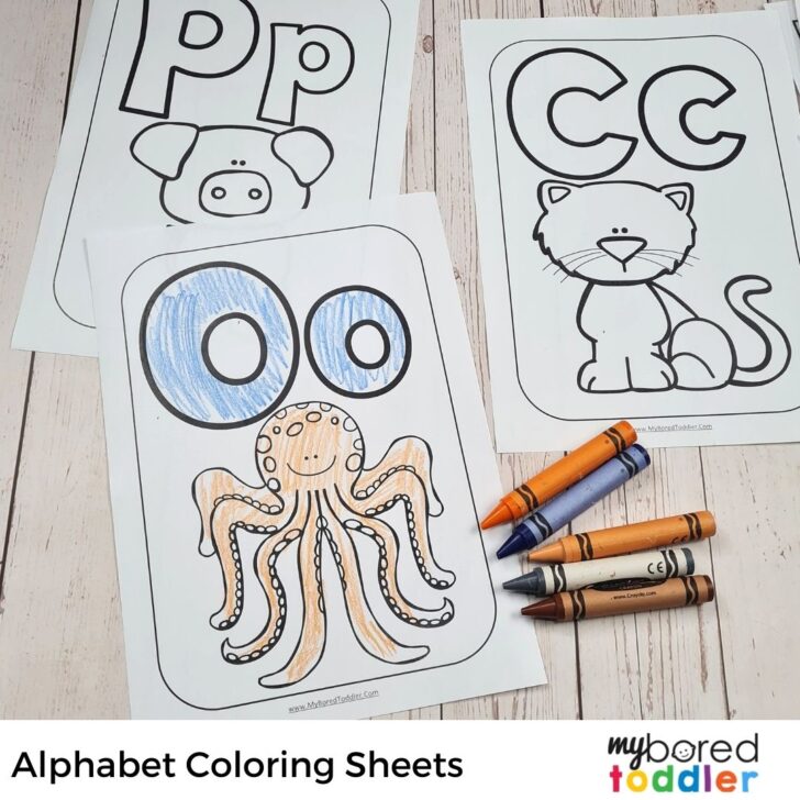 ALPHABET | Toddler Weekly Activity Plan - My Bored Toddler