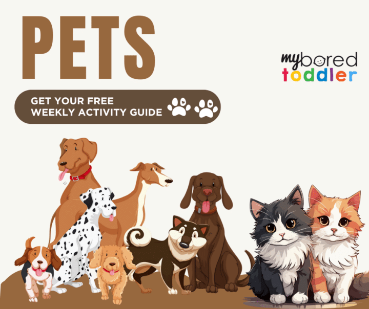 PETS | Toddler Weekly Activity Plan - My Bored Toddler